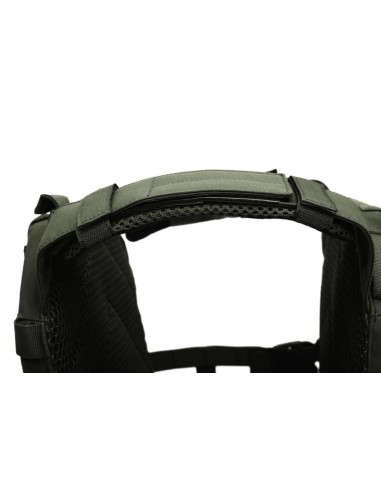 Warrior recon plate carrier (Olive)